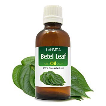 Jual Piper Betle Essential Oil Minyak Atsiri Daun Sirih Hijau Betel Leaf | Shopee Indonesia