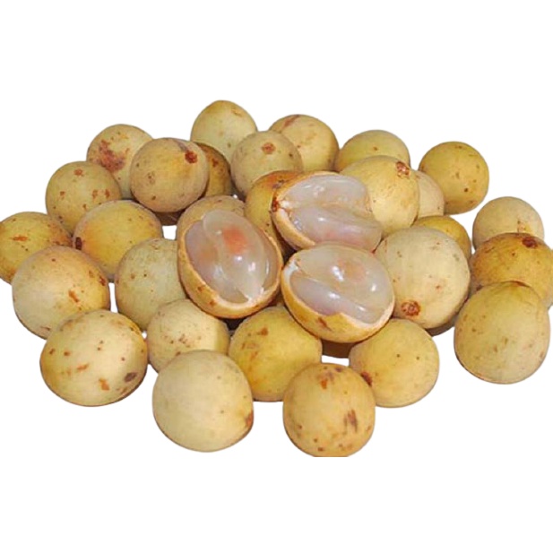Jual BUAH DUKU PALEMBANG, DUKU MANIS ( PER 1000 GRAM) | Shopee Indonesia