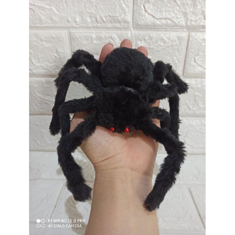 Jual mainan laba laba besar hitam 60cm | Shopee Indonesia