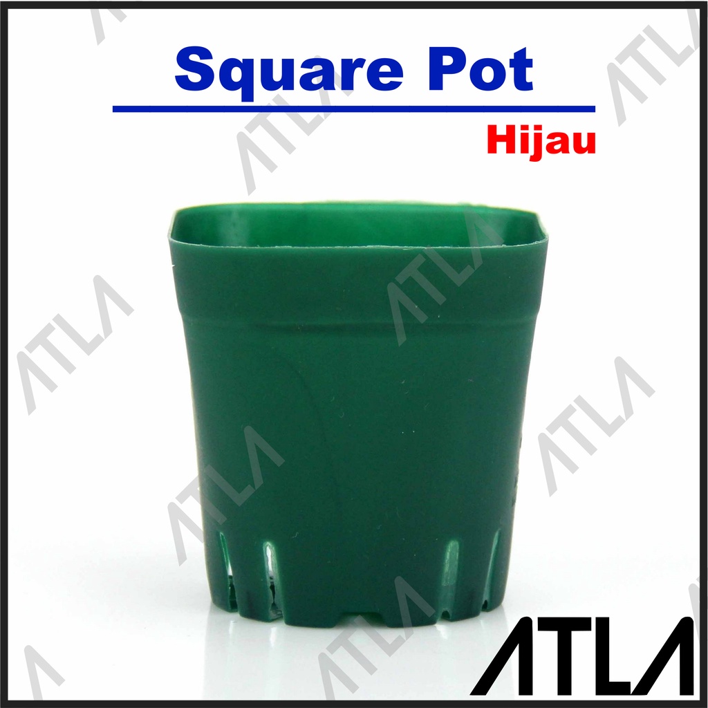 Jual Square Pot Hijau Kotak Traypot Seedling Tray Semai Hidroponik ...