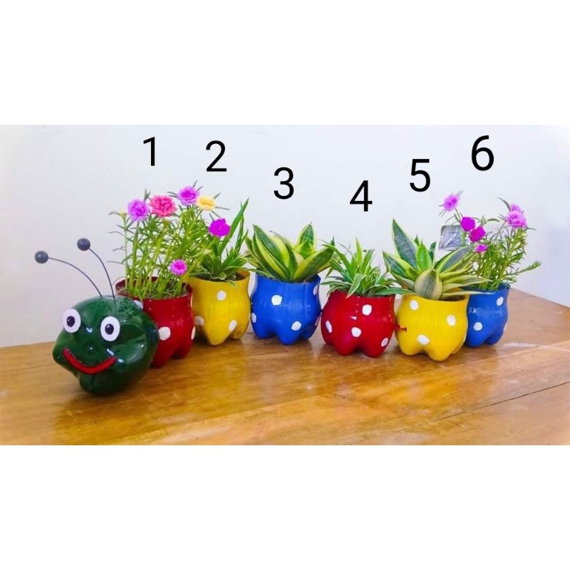 Jual Pot bunga cantik botol bekas // sudah di custom seperti di gambar ...