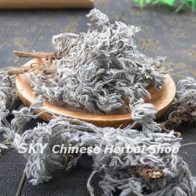 Jual Ready Oke Artemisia / Mian Yin Chen / Oriental Wormwood /Mian Yin ...