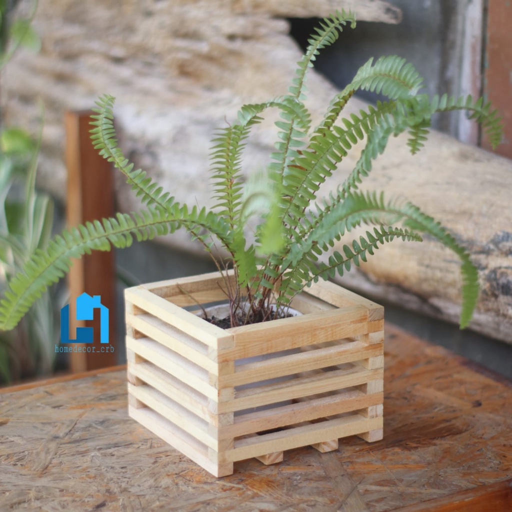 Jual Pot bunga kayu kotak / Pot bunga kayu minimalis | Shopee Indonesia