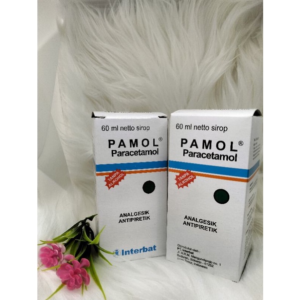 Jual PAMOL SIRUP (60 ml) | Shopee Indonesia
