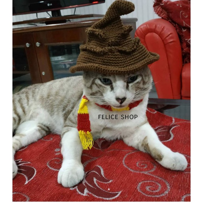 Jual topi kucing dan syall harry potter | Shopee Indonesia