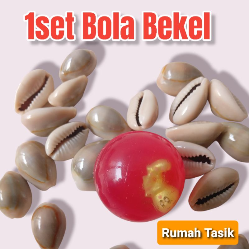 Jual Set Bola Bekel Isi 10 Biji Kerang Asli Mainan Anak Tradisional ...