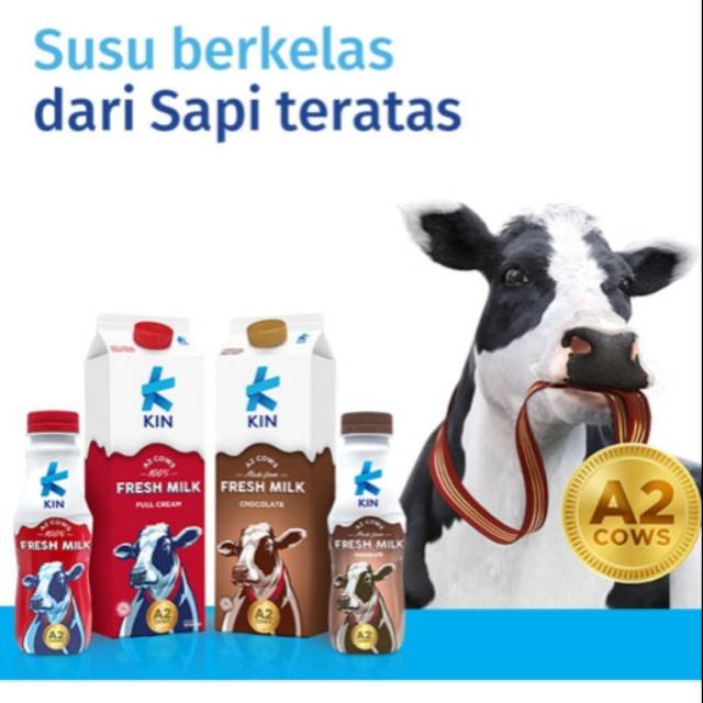 Jual Kin Fresh Milk 1 liter isi 12 pcs Fresh Milk/ Chocolate | Shopee ...