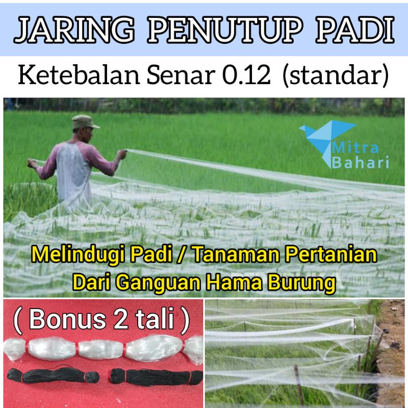 Jual JARING BURUNG SAWAH SENAR 0.12 | JARING PADI | JARING PIPIT ...