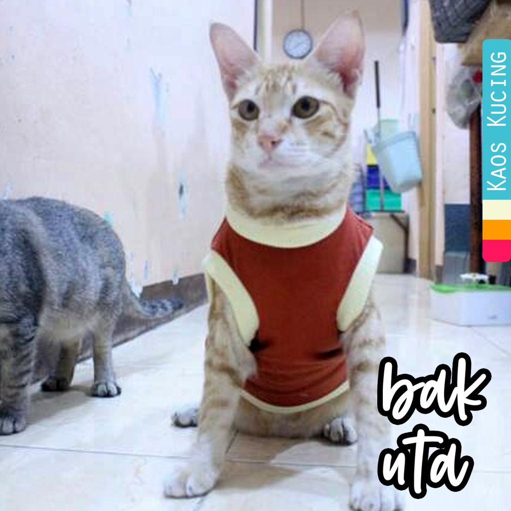 Jual Kaos polos coklat untuk kucing & anjing /Jual Baju Kucing ...