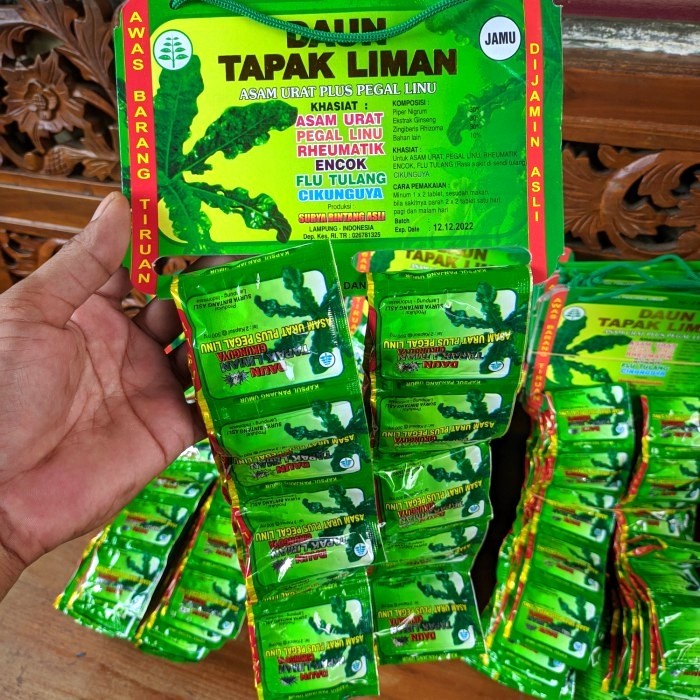 Jual DAUN TAPAK LIMAN#JAMU pegal LINU#HERBAL TRADISIONAL | Shopee Indonesia