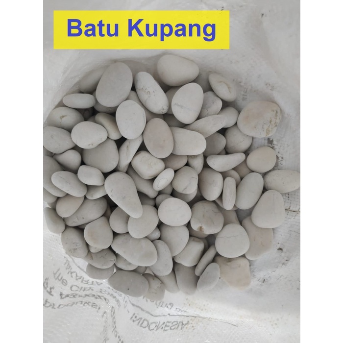 Jual Batu Coral Putih Batu Kupang Batu Koral Putih - Hiasan Aquarium ...