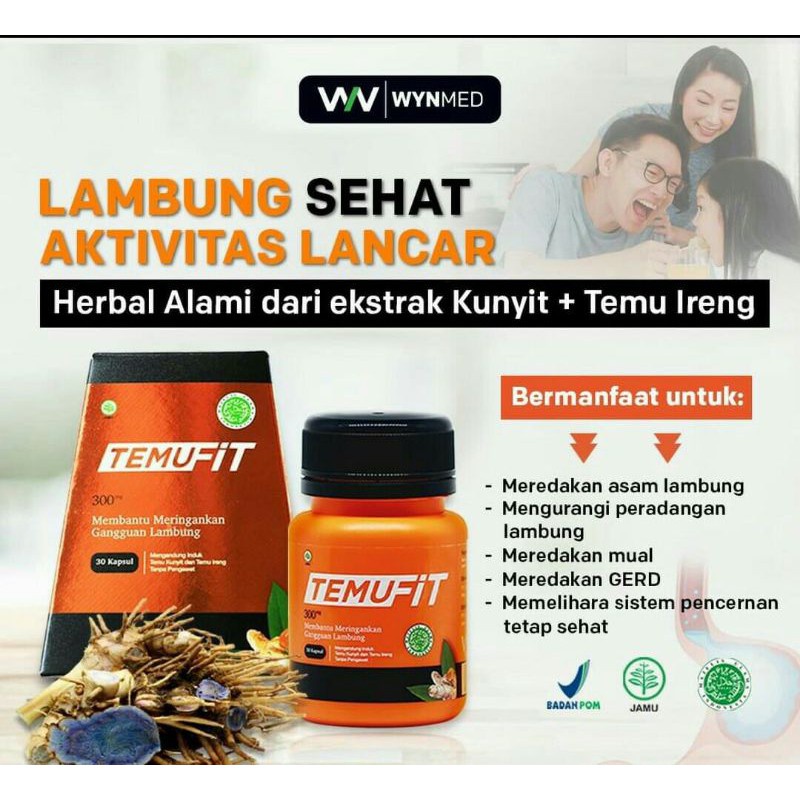 Jual Temufit 30 Kapsul Kunyit Temulawak Curcuma Herbal | Shopee Indonesia
