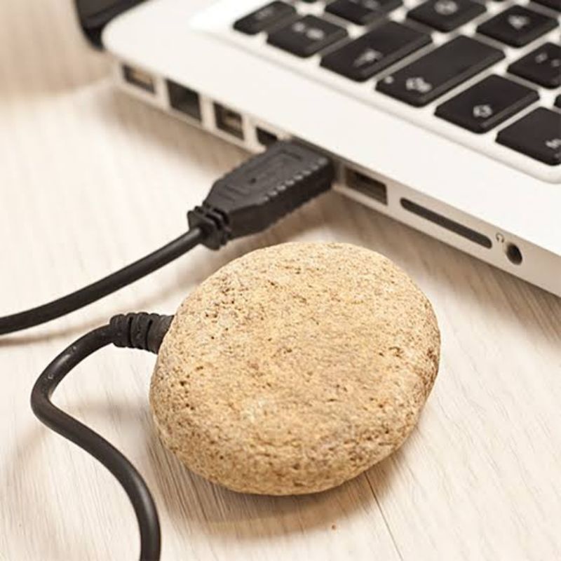 Jual USB Pet Rock | Shopee Indonesia