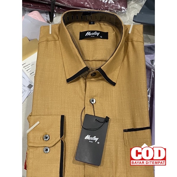 Jual Bukn Alisan Kemeja Harley pria warna soft creme gold / emas muda ...