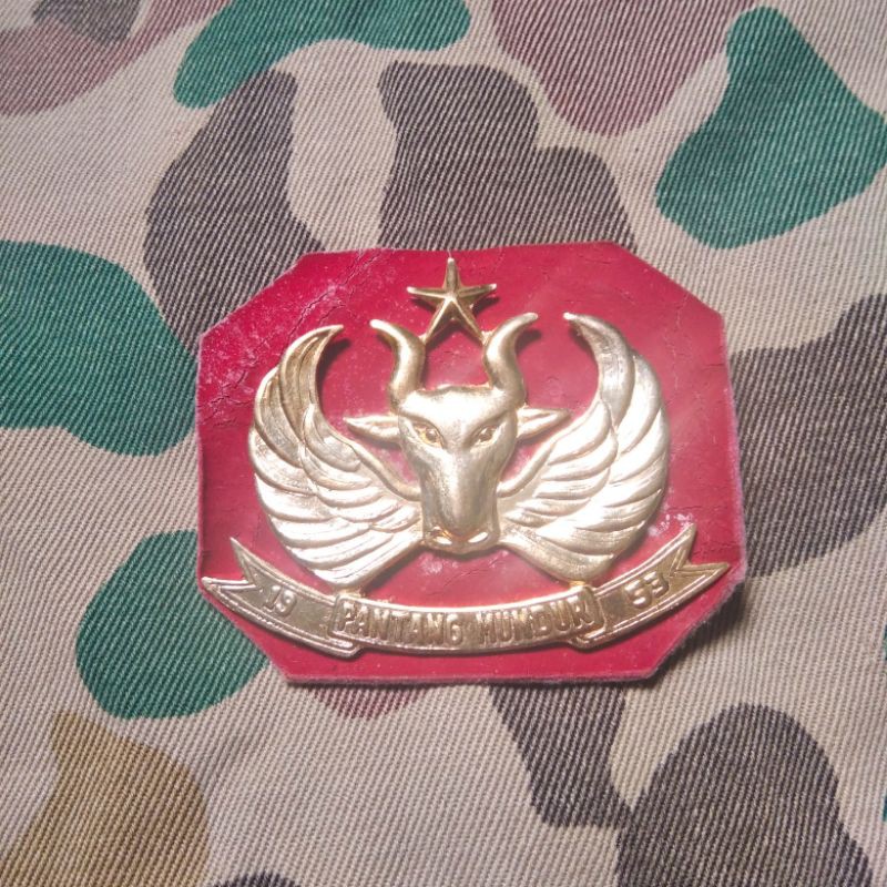 Jual pin baret banteng raiders pin tentara jadul yonif 400 raider ...