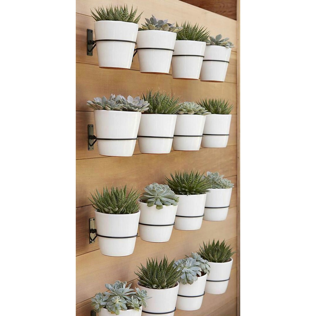 Jual Standing Pot Tempel Dinding / Tembok kuat | Shopee Indonesia