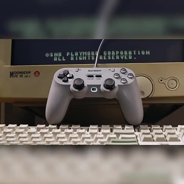 Jual Gamesir T3 Lite Linghu Wired Game Controller PC Computer Steam ...