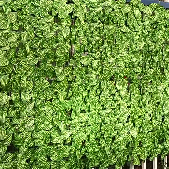 Jual Daun Rambat Sintetis/1M*3M/Plastik Dinding Rumput Buatan/Daun ...