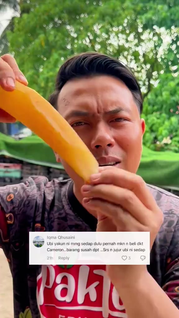 Jual UBI YAKON, UMBI YAKON,UBI YACON ASLI WONOSOBO FRESH (STOCK ...