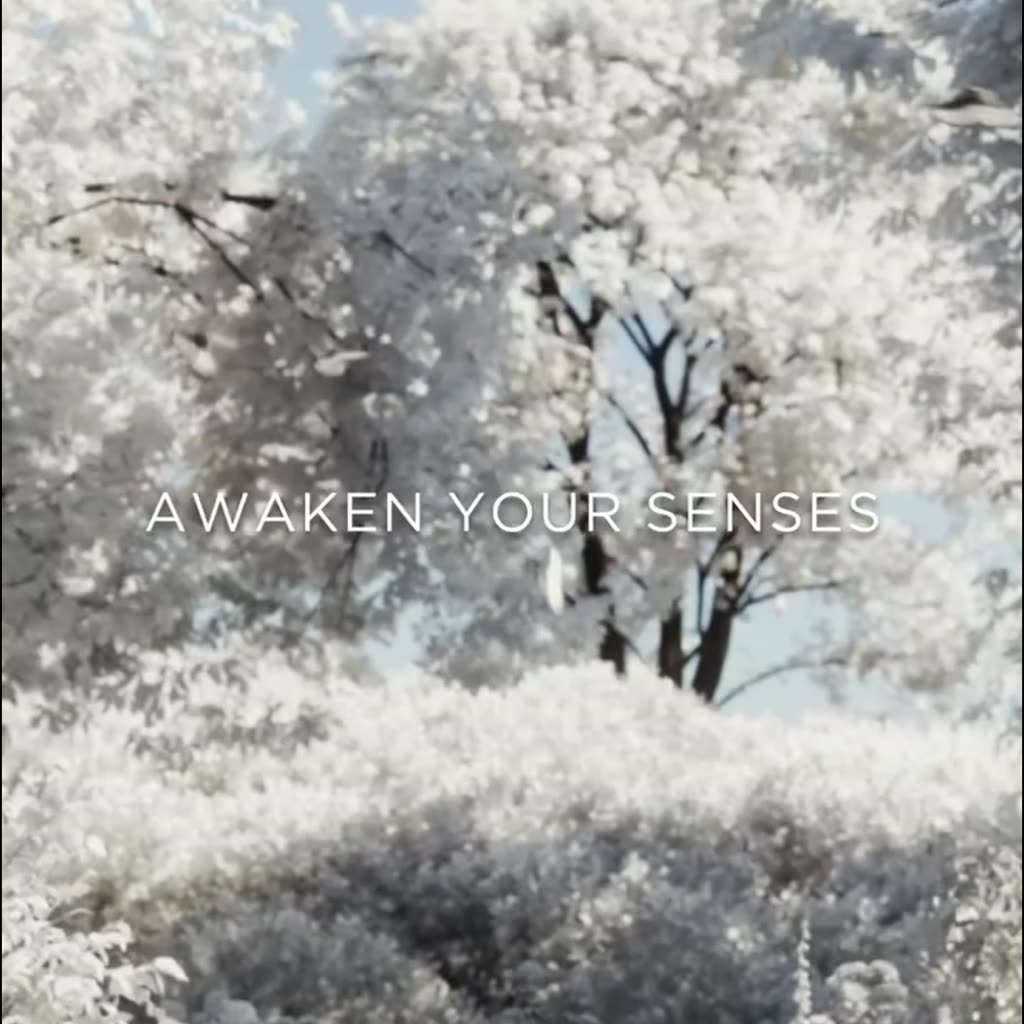 Jual Afnan 9 PM Rebel Parfum 100ML, Afnan Official Store, Fragrance World, Afnan 9PM Rebel ...