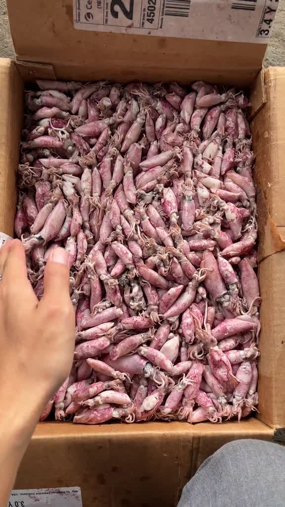Jual Cumi Asin / Cumi Rebus Berat 250 gram, 500 gram & 1 kg | Shopee Indonesia