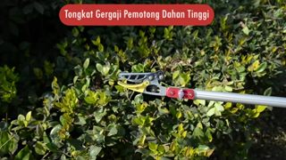Jual Tree Pruner Galah Tongkat Pemotong Gergaji Gunting Dahan Ranting Tarik untuk Pohon yang ...