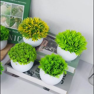 Jual UNICO Pot Bunga Plastik Hias Mini Import Termurah Bunga Rumput ...