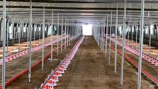 Jual Pan Feeder Otomatis 14 Grill Anti Tumpah Gantung Tempat Makan Ayam Gantung Alat Ternak Ayam ...