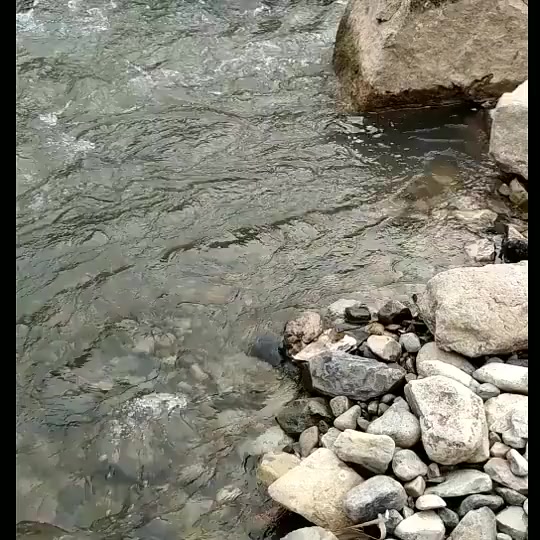 Jual [ANSA88] Pemantik kompor elektrik pemantik listrik USB ...