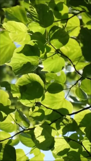 Jual Glad2Glow peeling gel Apricot Glycolic Acid Exfo Smooth Eksfoliasi ...