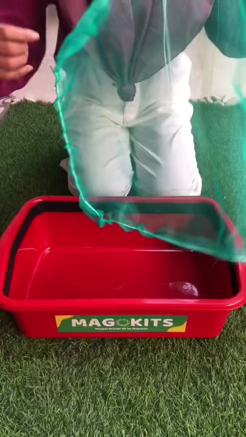 Jual Magokits Maggot Starter Kit Box Paket Budidaya Maggot Ekonomis by ...