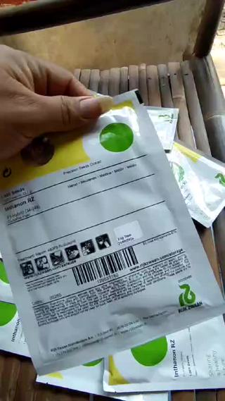 Jual Benih melon inthanon RZ asli F1 murah bisa COD 10 seed Repack ...