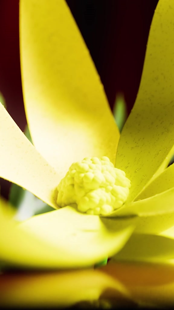 Jual SCARLETT Velvet Rouge (BEST SELLER!) - Extrait De Parfum 30ml ...