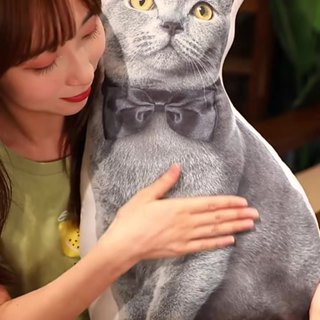 Jual Bantal Boneka Kucing 3D ukuran 45cm Lucu Mainan Kucing Imut Besar ...