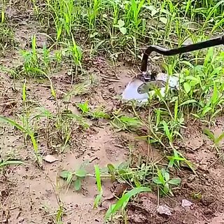 Jual Cangkul Kecil Berkebun Besi Dengan Pacul Garuk Gali Dan Tanah ...