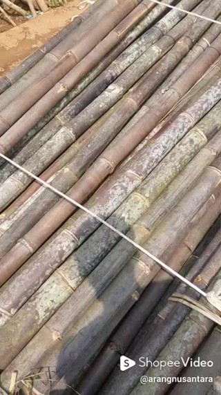 Jual Bambu Hitam 3 Meter Bambu wulung Bulat Tua Asli Bambu Apus Bambu ...