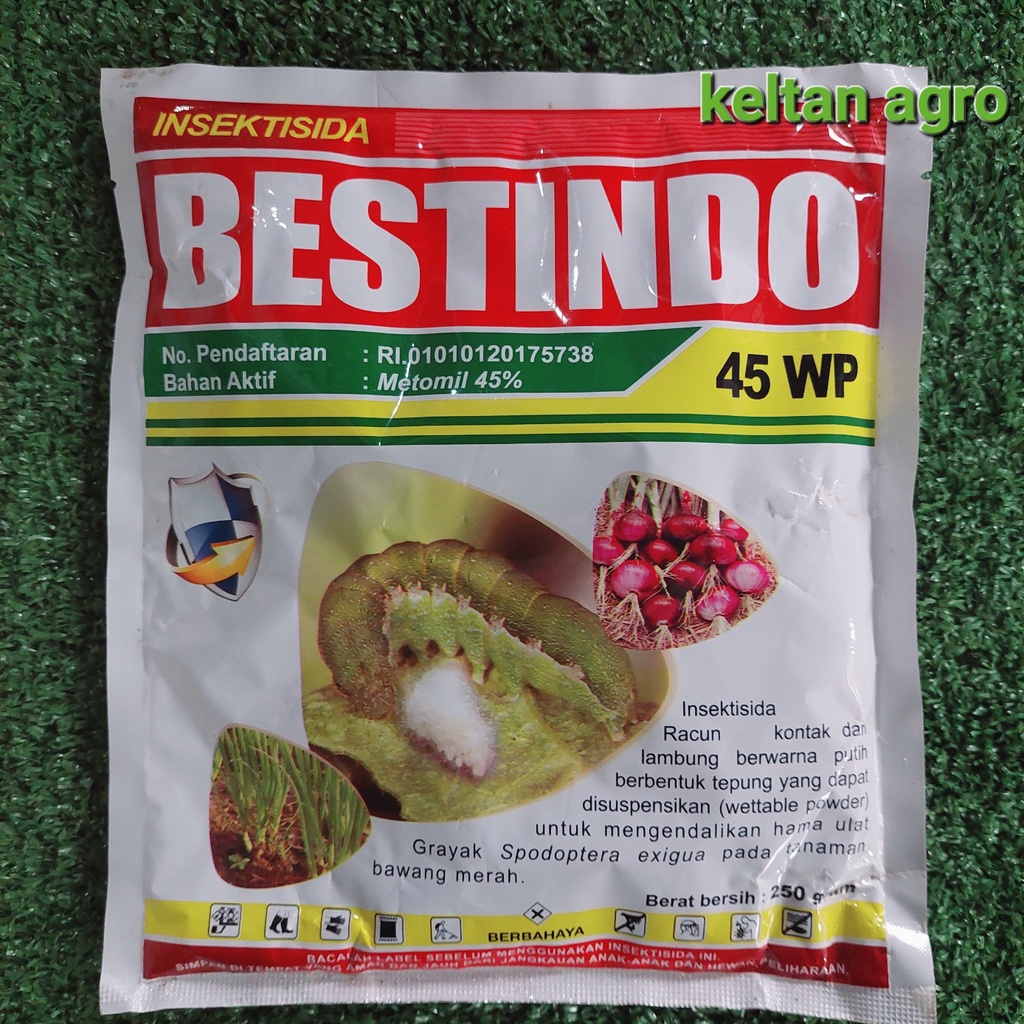 Jual BESTINDO 45 WP ( 250 gr ) | Shopee Indonesia