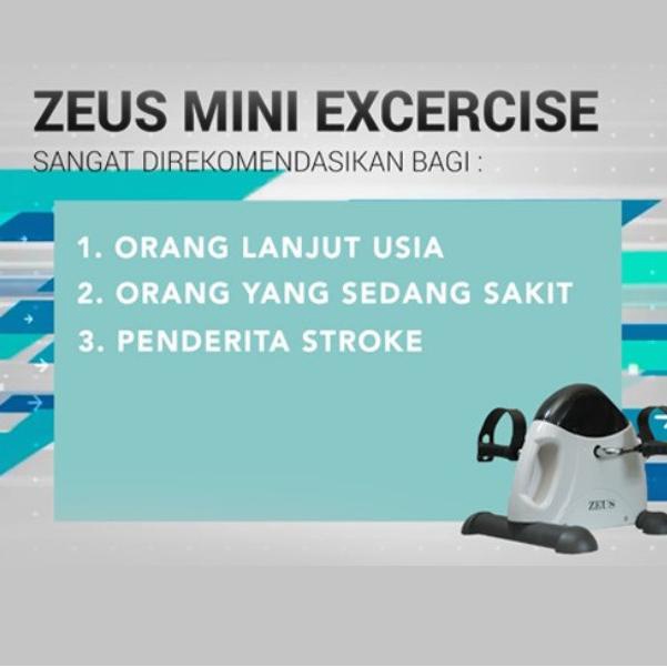 Jual Zeus Mini Bike Static Sepeda Terapi Statis Zeus Sport Exercise ...