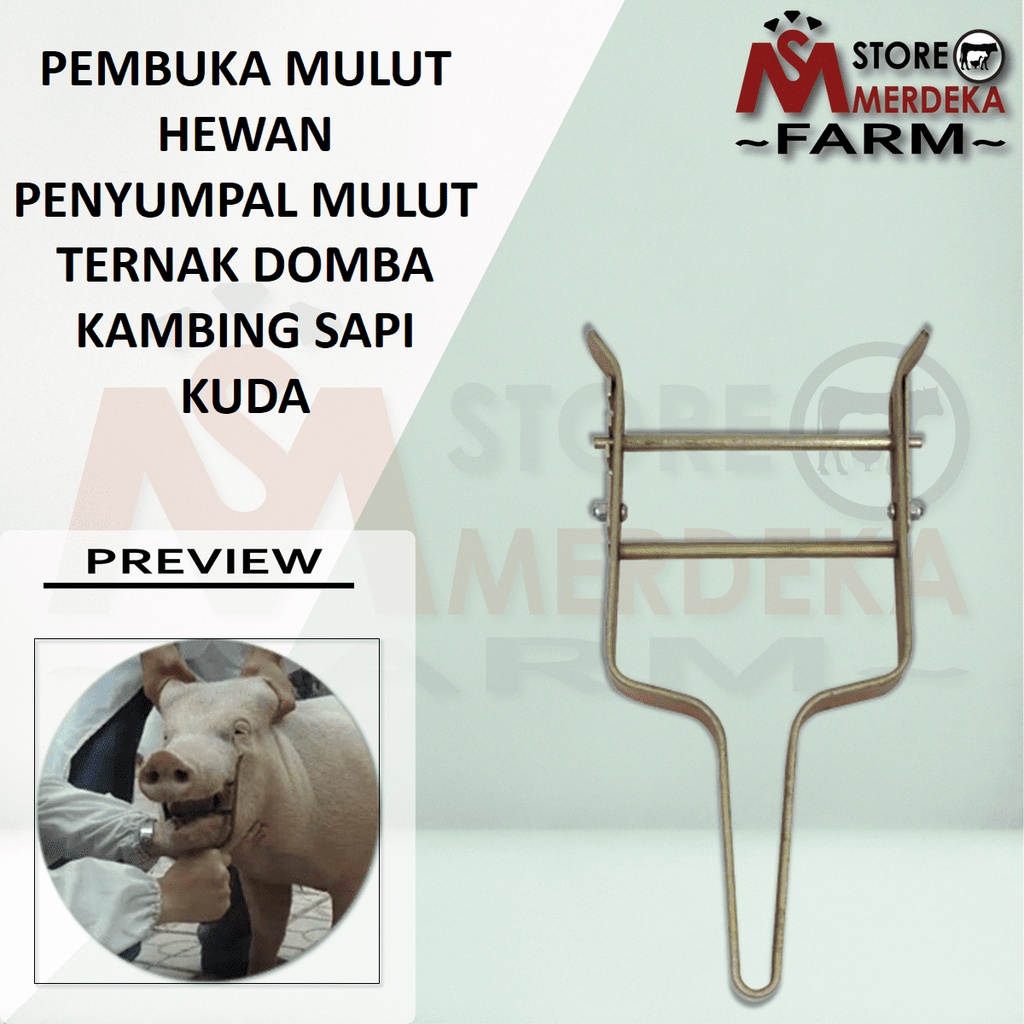 Jual Pembuka Mulut Hewan Penyumpal Mulut Ternak Domba Kambing Sapi Kuda ...