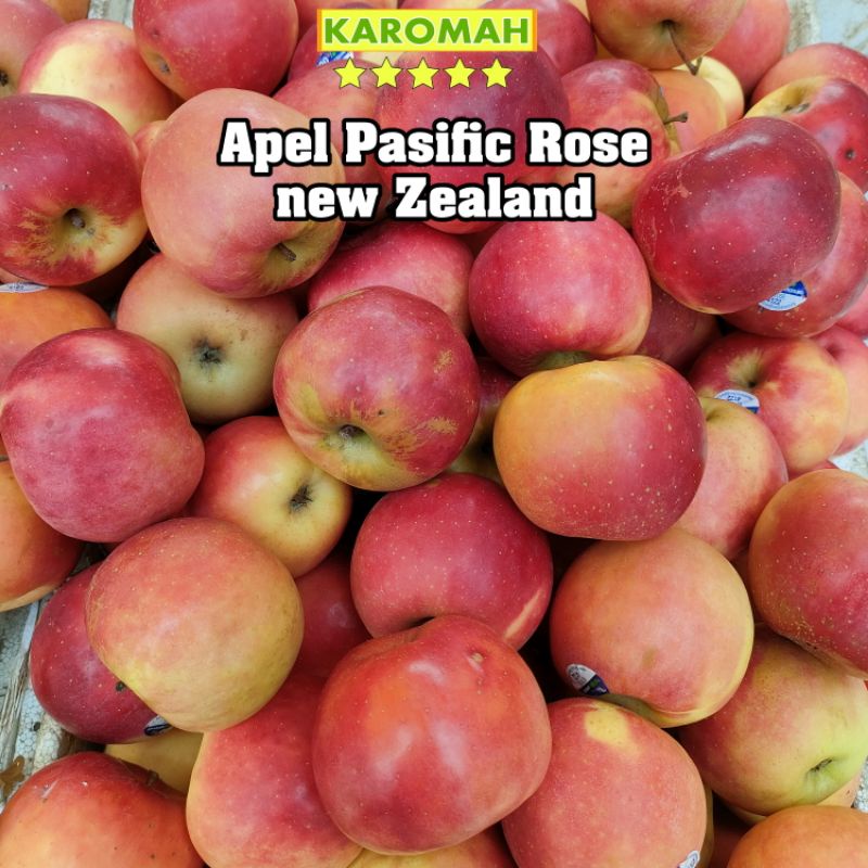 Jual BUAH APEL PASIFIC ROSE 1KG ( NEW ZEALAND ) manis garing renyah ...