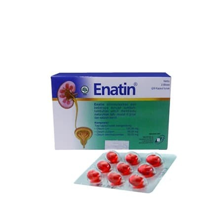 Jual ENATIN 1 BOX ISI 18 KAPSUL UNTUK BATU GINJAL EMPEDU | Shopee Indonesia