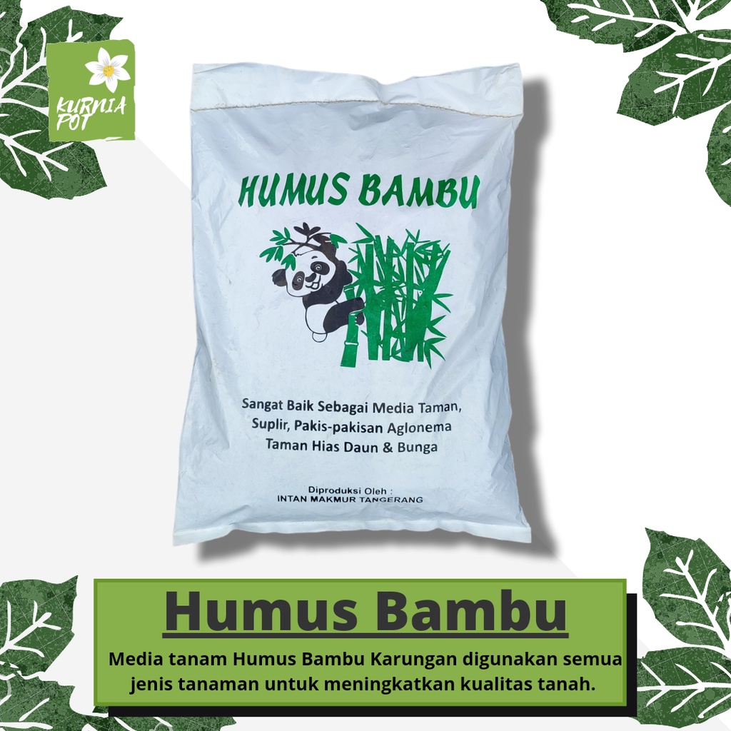 Jual Media Tanam HUMUS BAMBU Nutrisi Tanaman Bunga Hias Buah Aglaonema ...