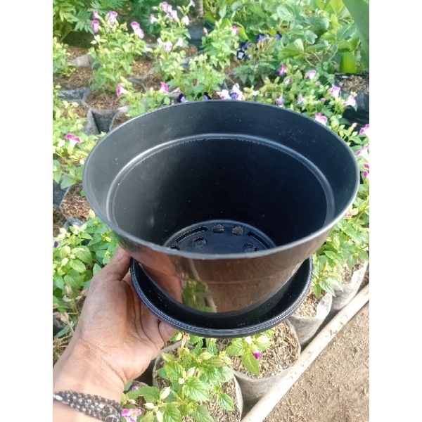 Jual pot hitam diameter 20 plus TATAKAN | Shopee Indonesia