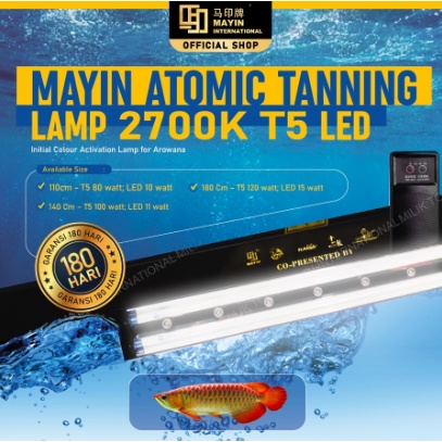 Jual MAYIN Atomic Tanning Lamp 2700K T5 LED Lampu Aquarium Ikan Arwana ...