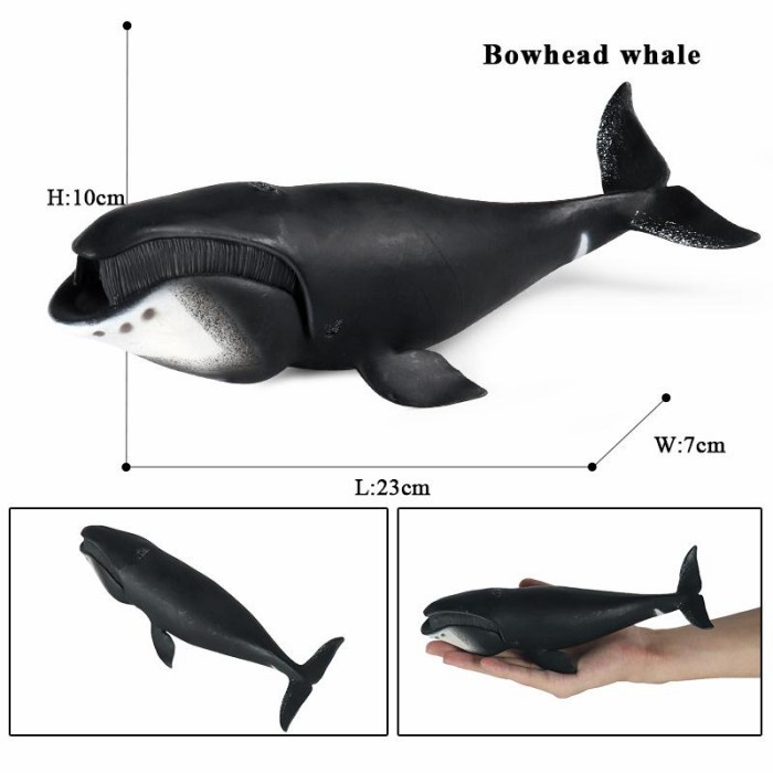 Jual mainan ikan paus/ figure whale - A.Bowhead Whale [COD] | Shopee ...