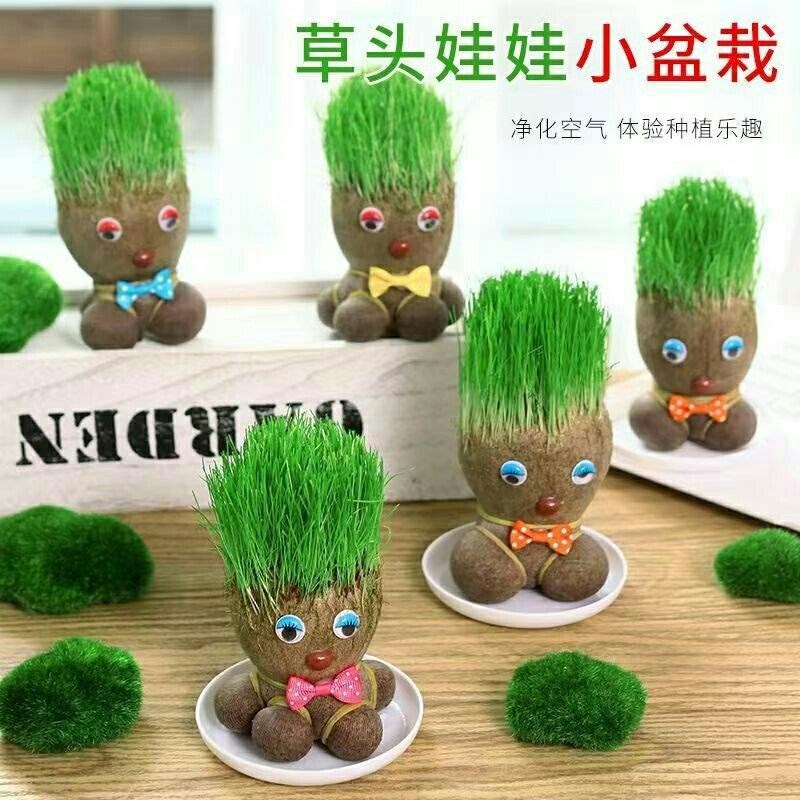 Jual Boneka Tanaman Rumput Mini di Kepala Boneka Rumput Mainan Cute ...