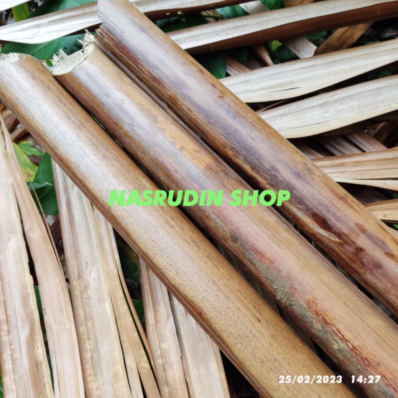 Jual PELEPAH POHON SAGU 1 METER / DAHAN BATANG POHON RUMBIA untuk ...