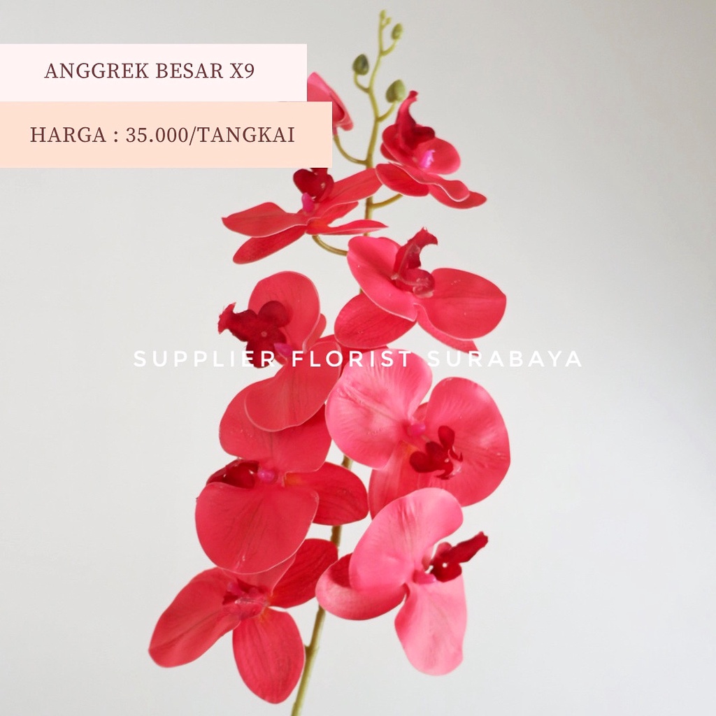Jual [9 KEPALA] BUNGA PALSU ANGGREK BAHAN LATEX REAL TOUCH MIRIP ASLI ...