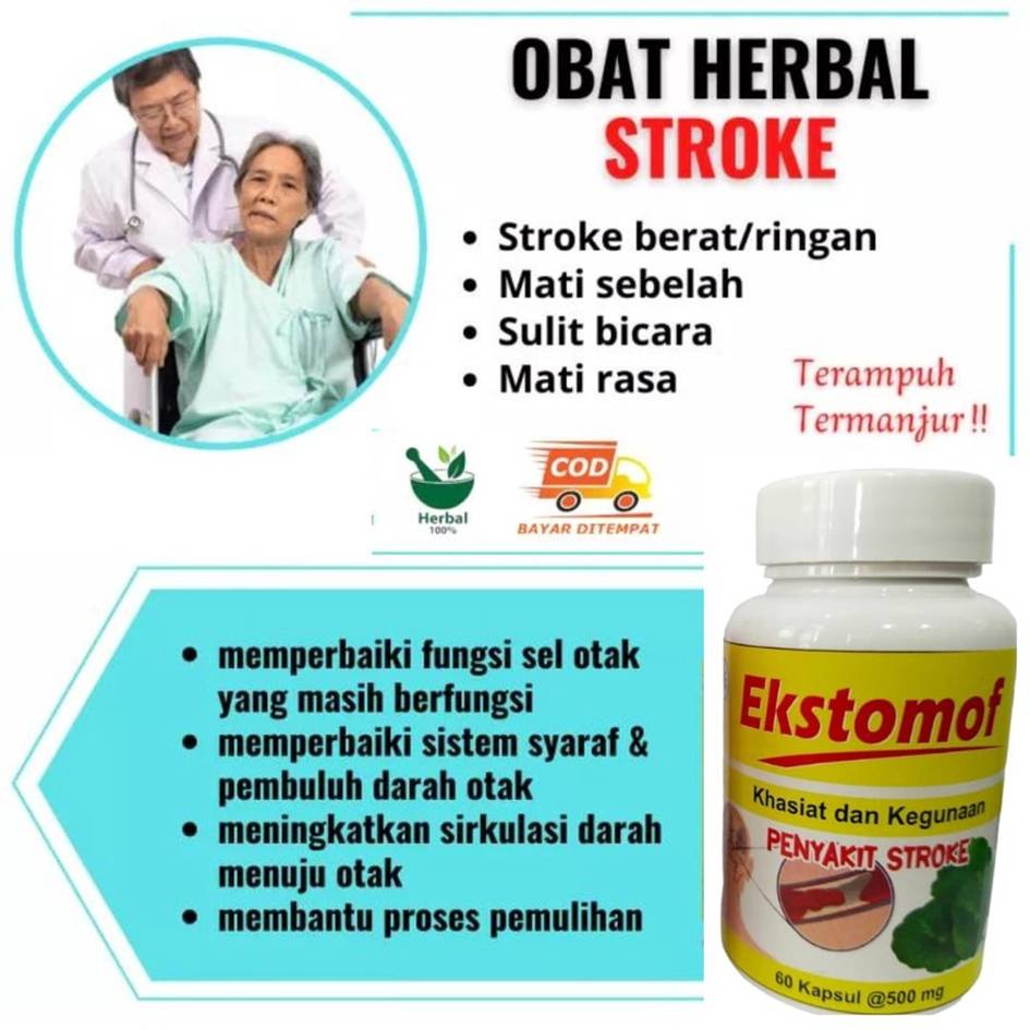 Jual Obat Stroke Ekstomof Stroke Ringan - Berat Sering Kesemutan Mati ...