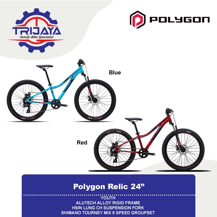 Jual Polygon Relic [24 inch] Sepeda MTB Anak | Shopee Indonesia